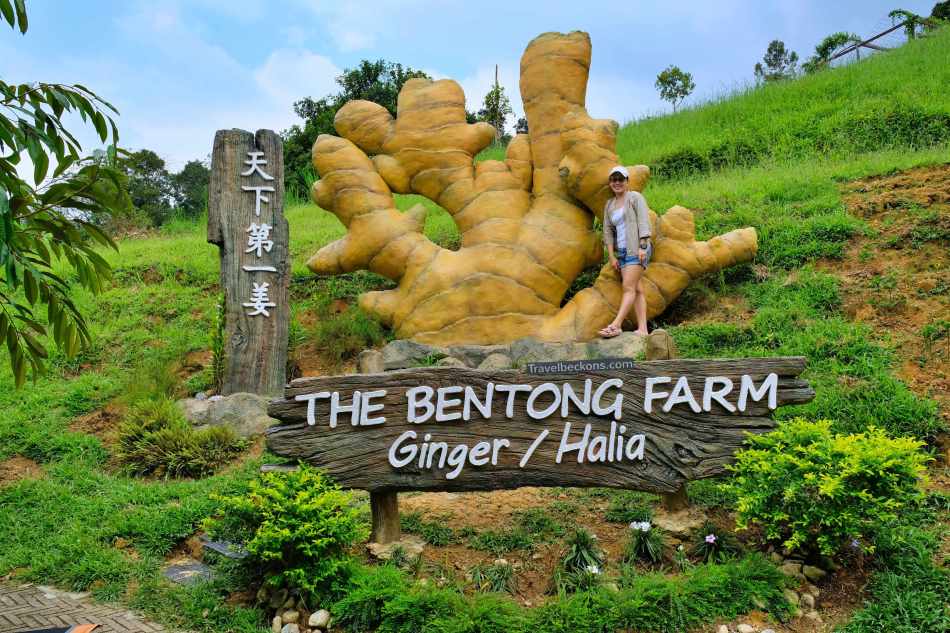Unveiling Bentong: Malaysia’s Hidden Gem – Travel Beckons